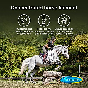 Farnam Vetrolin Horse Liniment for Muscle Soreness, Stiffness and Inflammation Relief on Horses, Helps Reduce Swelling, Aids in Pain Relief, 32 Oz.