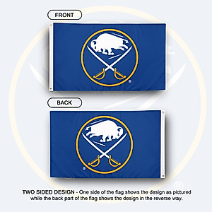Desert Cactus Buffalo Sabres Flag NHL 100% Polyester Indoor Outdoor 3x5 feet National Hockey League Team Flags (Design #1)
