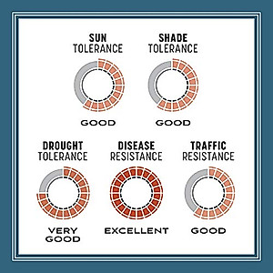 Pennington Smart Seed Northeast Grass Mix 3 lb