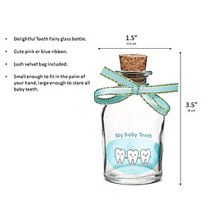 Baby Teeth Keepsake Tooth Fairy Glass Holder for Boy Girl | Birthday Gift and Baby Shower Blue