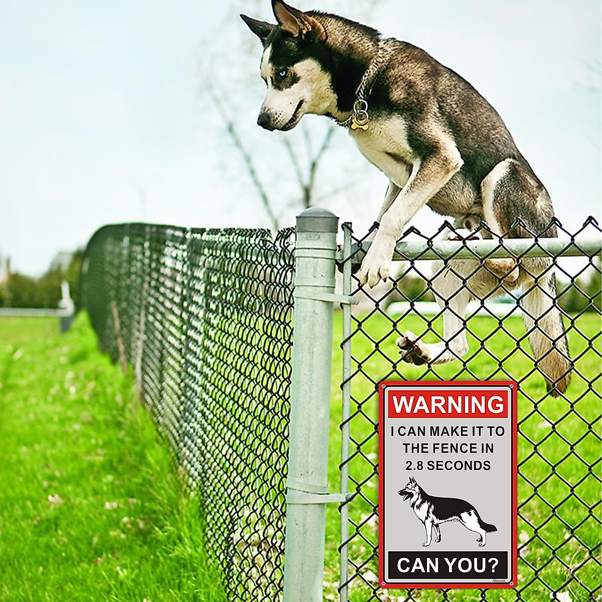 Beware Of Dogs Sign For Fence German Shepherd Sign Warning I Can Make It to The Fence in 2.8 Sec. Sign Metal 12" x 8" Dog On Premises Signs Dog Warning Signs Reflective Rust Aluminum Outdoor 2 Pack