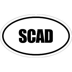 Magnet 6" Printed Euro Oval Style Decal Oval Scad Magnet Vinyl Car Fridge Metal Surfaces