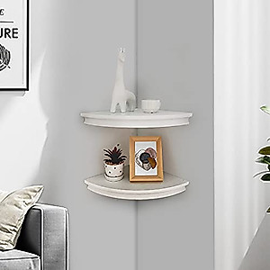 Coral Flower Wall Mounted Floating Shelves, Set of 2, Display Ledge, Classic Rack for Room/Kitchen/Office, White