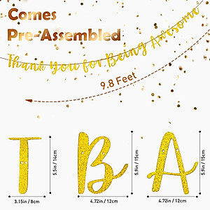 Thank You for Being Awesome Banner, Pre-Strung Glitter Gold Inspirational Appreciation Banner for Teacher, Employee, Best Friend, Coworkers Party Decorations