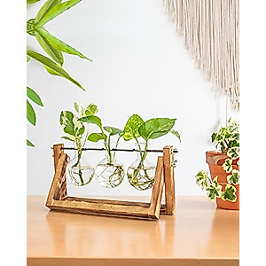 Ivolador Desktop Propagation Station, Bulb Plant Terrarium with Retro Solid Wooden Stand and Metal Swivel Holder for Hydroponics Plants Home Garden Wedding Decor (3 Bulb-C Type)