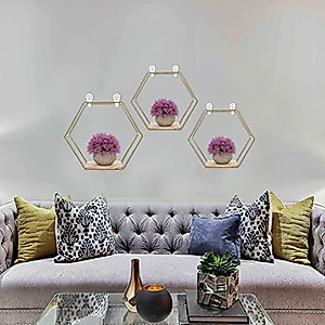 DOITOOL 3Pcs Iron Hexagon Wall Hexagon Shelves Hexagon Hanging Shelves Hexagon Display Shelves Wall Shelves Hexagonal