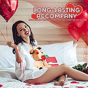 Chalyna 10 Inches Dog Plush Toy with Rose Valentine's Day Stuffed Animal with Heart Rose for Girlfriend, for Valentines Party Favor Mother's Day Birthday Festival Occasion