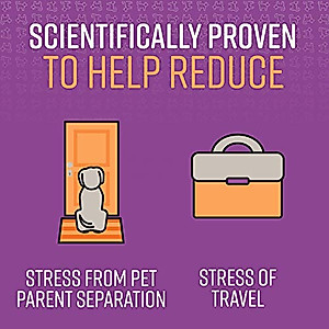 SENTRY PET Care Sentry Calming Spray for Dogs, Uses Pheromones to Reduce Stress, Easy Spray Application, Helps Dogs with Separation, Travel, Loud Noises, and Anxiety, Packaging May Vary