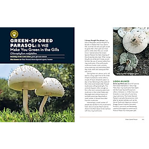 How to Forage for Mushrooms without Dying: An Absolute Beginner's Guide to Identifying 29 Wild, Edible Mushrooms