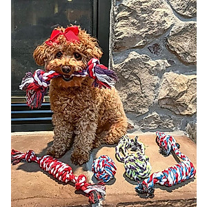 Pacific Pups Products for Dogs - Dog Toys for Aggressive Chewers, 11 Heavy Duty Dog Chew Toys for Aggressive Chewers, Cotton Puppy Chew Toys for Teething, Dogs Toys, Benefits Non-Profit Dog Rescue