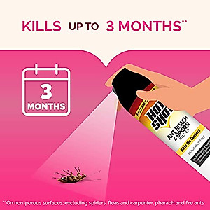 Hot Shot Ant, Roach & Spider Killer, Kills Roaches and Listed Ants On Contact, Indoor & Outdoor Use, (Unscented) 2 Pack, 17.5 Ounce