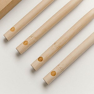 Gongi Wooden Bamboo Toothbrush - 20,000 High Bristle Count Toothbrush - Micro-Nano Extra Soft Bristles - 4-Pack