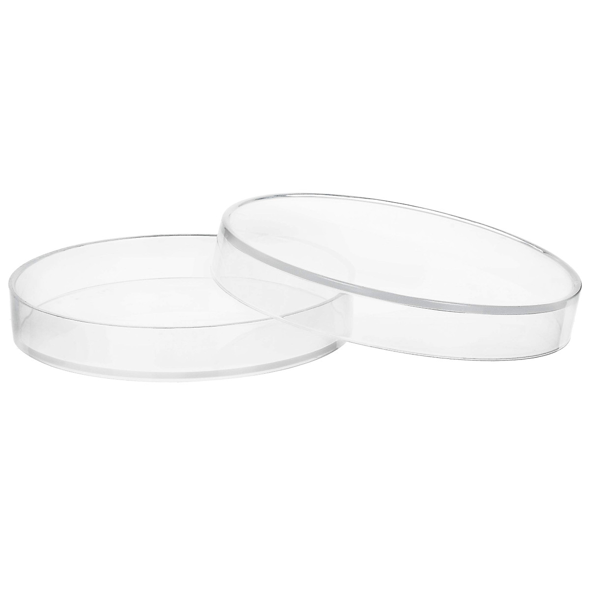 6PK Plastic Petri Dishes with Lids - 6" Diameter, 0.75" Depth - Molded in Polypropylene - Reusable, Autoclavable - Translucent - Eisco Labs