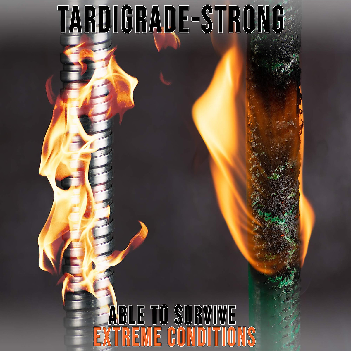 Tardigrade Metal Garden Hose 1 FT, Heavy Duty 304 Short Stainless Steel Water Hoses, Unmatched Durability, Flexible, Lightweight, Outdoor