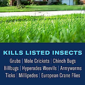 BioAdvanced Season Long Grub Control, Ready-to-Spread Granules, 10 LB