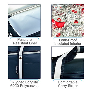 California Berkeley Licensed Golden Bears 64 Can Capacity Semi Rigid Collapsible Leakproof Cooler- Designed & Quality Approved in The US