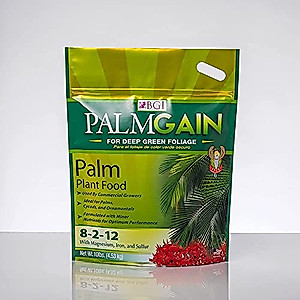 BGI PALMGAIN 10lb Bag Palm Tree Fertilizer, Ferns, Cycads, Ixora