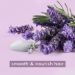 Love Beauty Planet Shampoo and Conditioner Set - Sulfate-Free Shampoo and Conditioner with Argan Oil & Lavender, Argan Oil Shampoo and Conditioner Set, Anti-Frizz Hair Products for Women, 13.5 Oz (2 Piece Set)