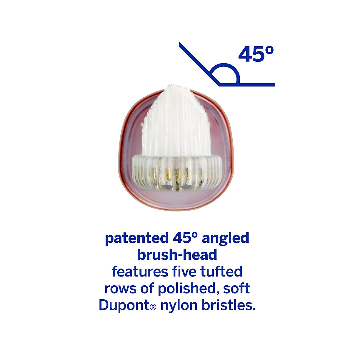 Supersmile Zina45 Replacement Brush Heads for Sonic Pulse Toothbrush, Rose Gold, 2 Count (Pack of 1)