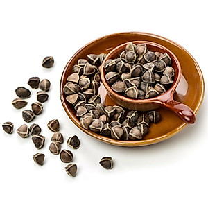 Moringa Seeds Wingless 1 lb. Wide Mouth JAR - PKM1 Variety - Edible Snacking - Planting - Moringa Oleifera - Malunggay - Semillas De Moringa - Drumstick Tree - Non-GMO - 1600 to 2000 Seeds