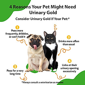 Pet Wellbeing Urinary Gold for Dogs & Cats - Vet-Formulated - Urinary Tract Health, Supports Normal Urinary pH - Natural Herbal Supplement 4 oz (118 ml)