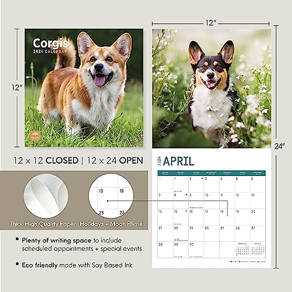 2024 Corgis Monthly Wall Calendar by Bright Day, 12 x 12 Inch Cute Dog Breed Gift