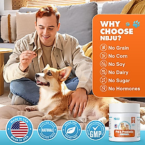 NBJU Probiotics for Dogs Cat Probiotic Chews Support Gut Health, Immunity Health, Diarrhea, Digestive Health & Seasonal Allergies - Chicken Flavor - 30 Chews Prebiotics and Probiotics