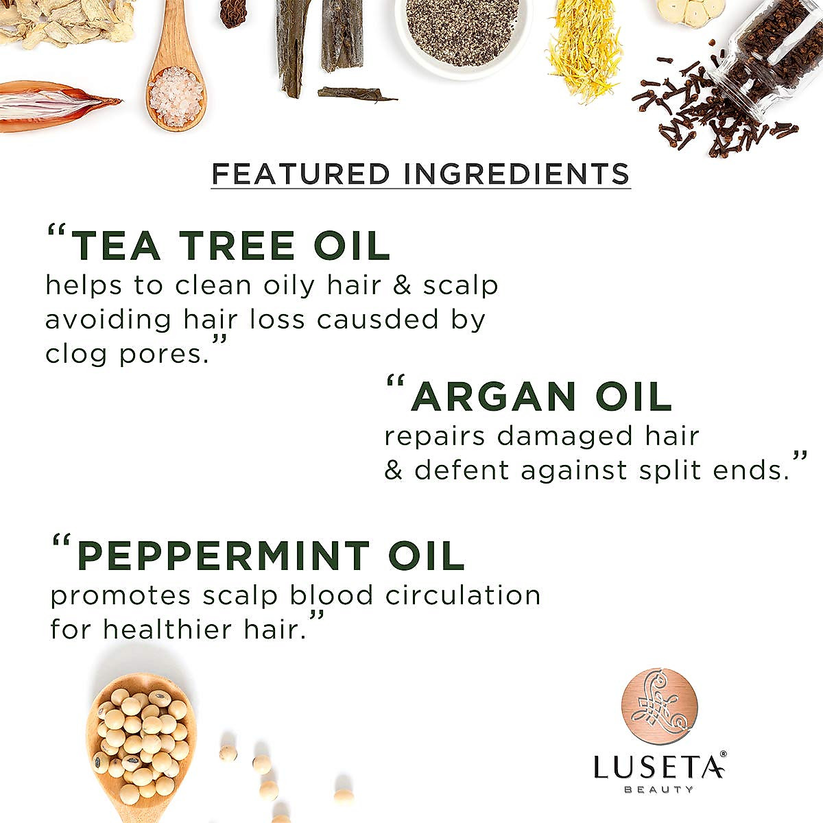 Luseta Tea Tree Shampoo with Argan Oil 16.9 Fl oz- Clarifying,Hydrating and Fighting Dandruff and Itchy Scalp - For Damaged and Oil Hair - Sulfate and Paraben Free for Men and Women