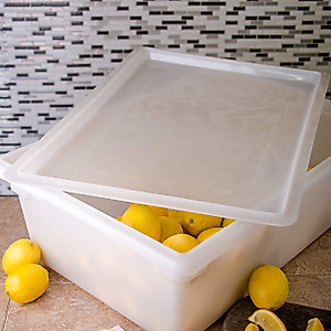 CFS 1064702 Polyethylene Storage Container"Lock-Tight" Lid, White