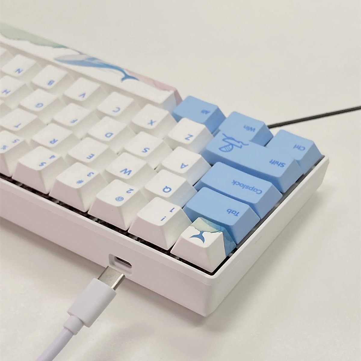 FKZ CXTECH X61 Sea Blue Theme Mechanical Keyboard,Outemu Hot Swap Switch Cherry Profile PBT Custom Keycaps,Mini 61 Keys Type-C Wired Keyboard,White Backlit 60% Gaming Keyboard (Red Switch)