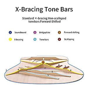 Rosen G31 Dreadnought Acoustic Guitar Soild Mahogany Top 41 Inch Guitarra Full Size Cutaway with Gloss Finish Bundle Starter Kit with Gig Bag, Tuner, Strings, Strap, and Picks