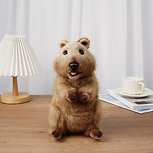 keaiart-ly Cute Quokka Stuffed Animal Plush Toy, Australia Animal Plushie, Cuddly Quokka Doll-10 inches