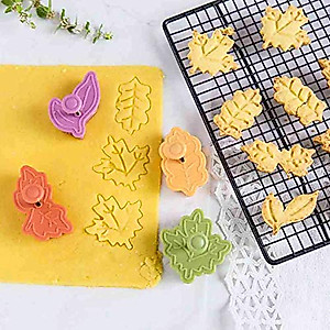 Yunko Cake Leaves Baking Pie Crust Cutters Set of 4