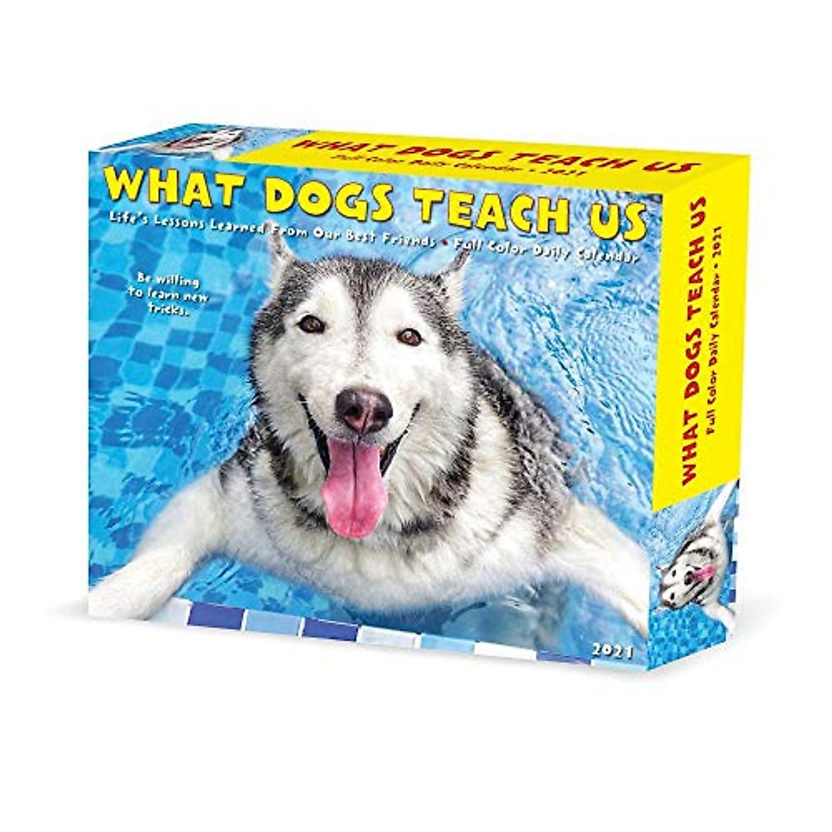 What Dogs Teach Us 2021 Box Calendar