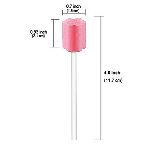 Disposable Untreated Oral Care Swabs, 250 Count (Pink+Plum)