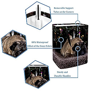 Pug Dog Print Collapsible Laundry Hamper, 60L Waterproof Laundry Baskets Washing Bin Clothes Toys Storage for Dorm Bathroom Bedroom