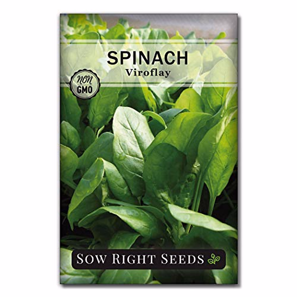Sow Right Seeds - Viroflay Spinach Seed for Planting - Non-GMO Heirloom Packet with Instructions to Plant a Home Vegetable Garden, Great Gardening Gift (1)