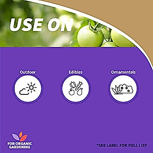 Bonide Captain Jack's Deadbug Brew Garden Dust Organic Insect Killer with Spinosad 1.5 lb.