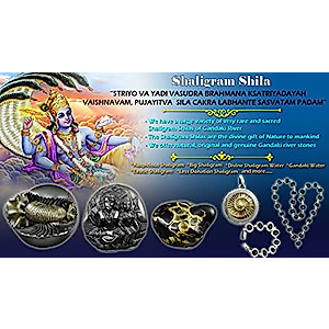 Sudarshan Shaligram | Nepal Gandaki River Chakra Saligram (2.5 cm) Orignal Sudarshan Chakra shaligram