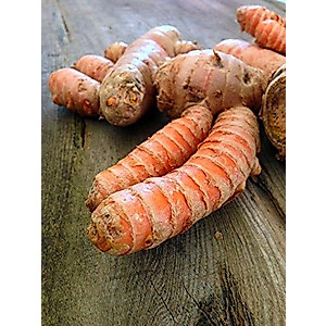 Turmeric (rhizome) Grow Your own,Grow Indoors or Outdoors - (1 Pound)