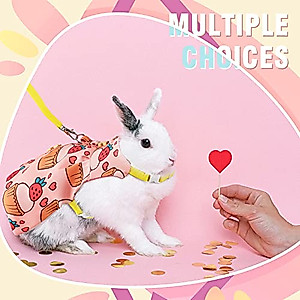 3 Piece Cute Rabbit Leash and Harness Set, Bunny Rabbit Dress Clothes Walking Harness Vest Escape Proof Pet Supply for Rabbit Hedgehog Ferret Guinea Pig (Cake, Bunny, Pineapple)