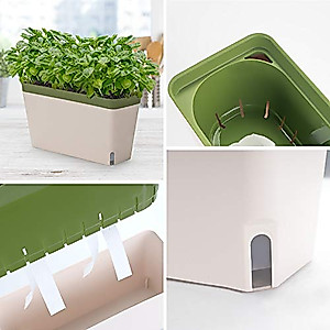 Amazing Creation Window Herb Planter Box Rectangular Self Watering Indoor Garden for Kitchens Grow Plants, Flowers or Succulents, Large Water Reservoir | Window Sill Planters Indoor | Herb Pots 3 Pack
