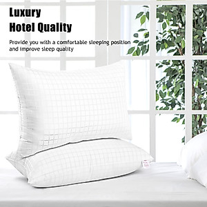 EIUE 2 Pack Queen Size Bed Pillows for Sleeping,Super Soft Down Alternative Microfiber Filled Pillows,20 x 30 Inches,white