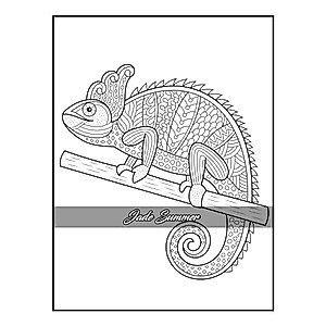 100 Animals: An Adult Coloring Book with Lions, Elephants, Owls, Horses, Dogs, Cats, and Many More!