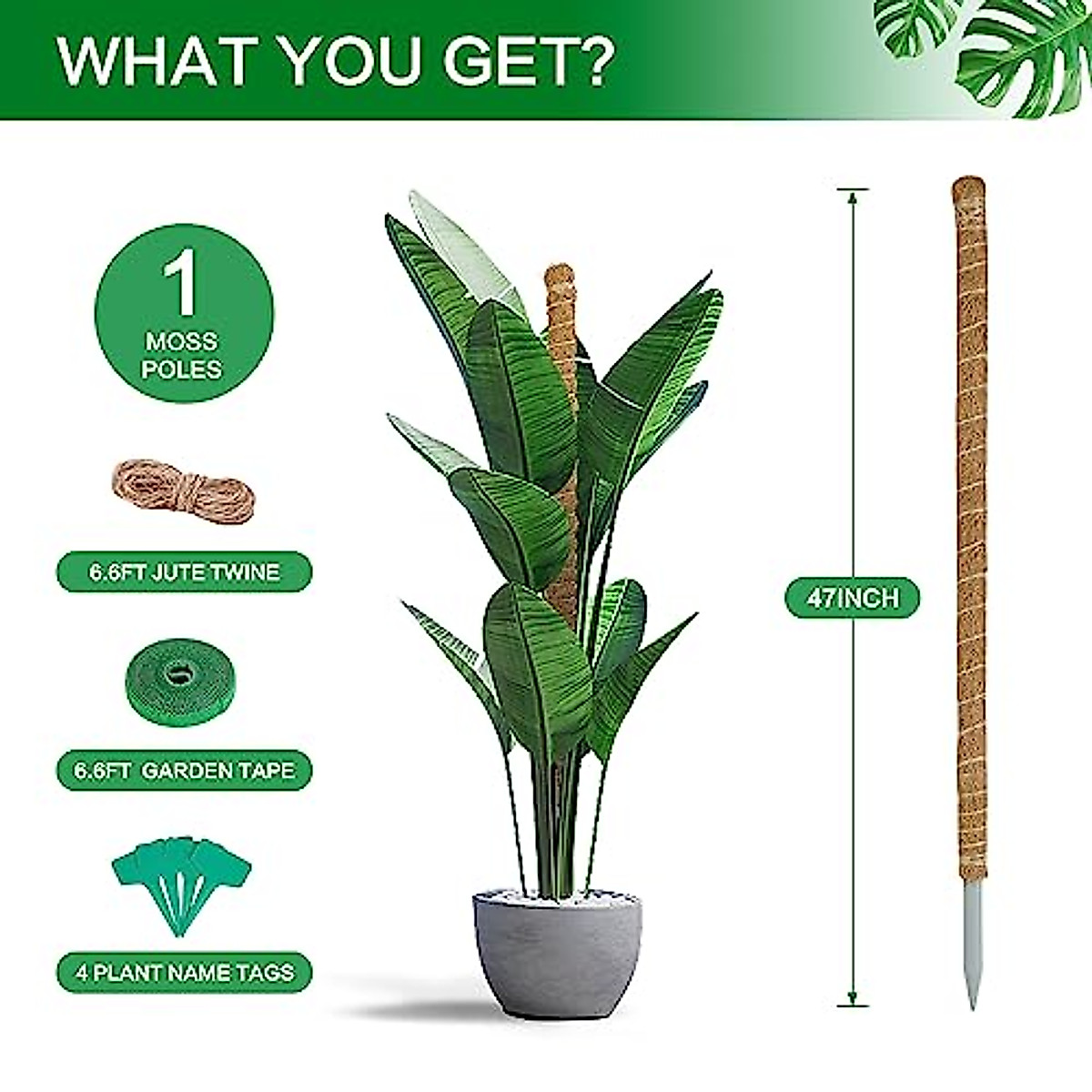 Pechaut 47 Inch Moss Pole for Climbing Plants Monstera, 1 Pack Bendable & Durable Plant Poles for Indoor Plants, Suitable Gift for Plant Lovers