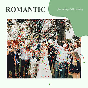 FameFame 10Pack Confetti Wands, Tissue Paper Flick Flutter Sticks for Wedding Celebrations, Anniversary, Birthday Party, Colorful, 7.8inch Confetti Popper