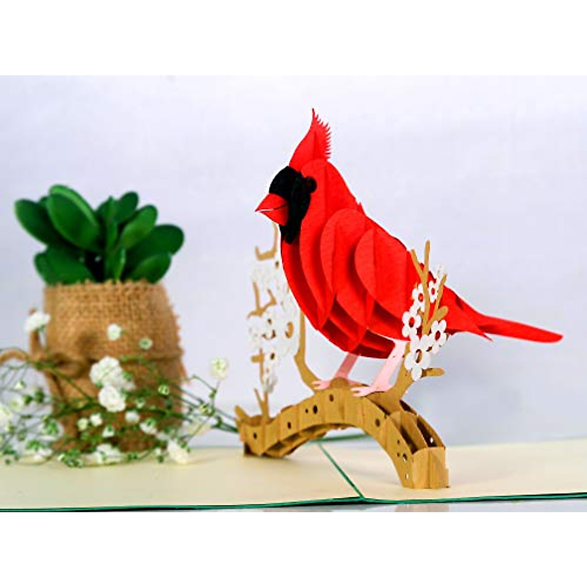 CUTPOPUP Mother's Day, Birthday Card Pop Up, 3D Greeting Card (Red Cardinal)