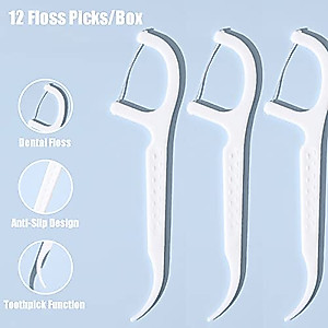 [4 Pack] Portable Floss Dispenser with 48 Dental Picks, Storage Box for Adults Floss Sticks, Tooth Picks Flossers Suitable for Tourism and Business Trips, White + Black + Pink +MintGreen