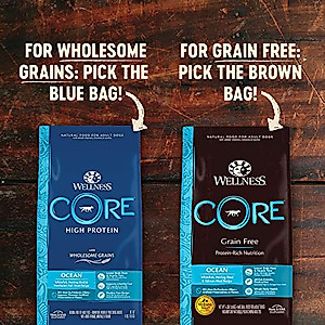 Wellness CORE Grain-Free High-Protein Dry Dog Food, Natural Ingredients, Made in USA with Real Meat, All Breeds, For Adult Dogs (Ocean Whitefish, Herring & Salmon, 26-Pound Bag)