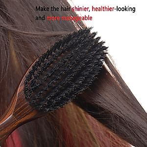 PERFEHAIR 100% Wild Natural Boar Bristle Hair Brush With Wooden Handle for Men and Women's Thin, Fine Hair